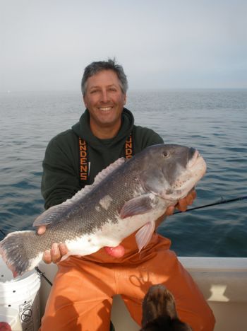 New York Fishing Report | 11 1/2 lb. Tog Surfaces in the Fog!