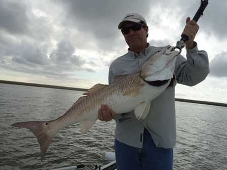 Gulf Fishing Report | Bull redfish venice louisiana